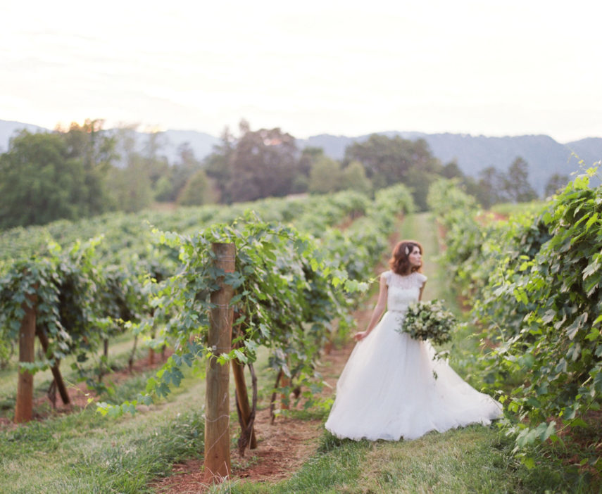Addison Farms Vineyard – Simply Beauty Maui